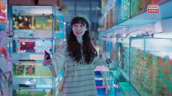 香港電台網站 : 電視